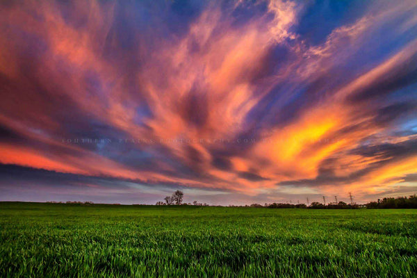 Natural Beauty - One Time Use License – Southern Plains Photography